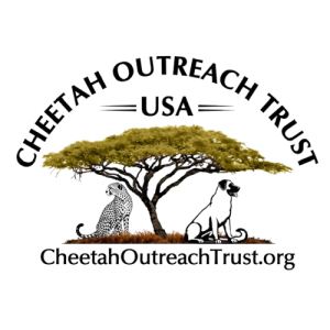 Home - Cheetah Outreach
